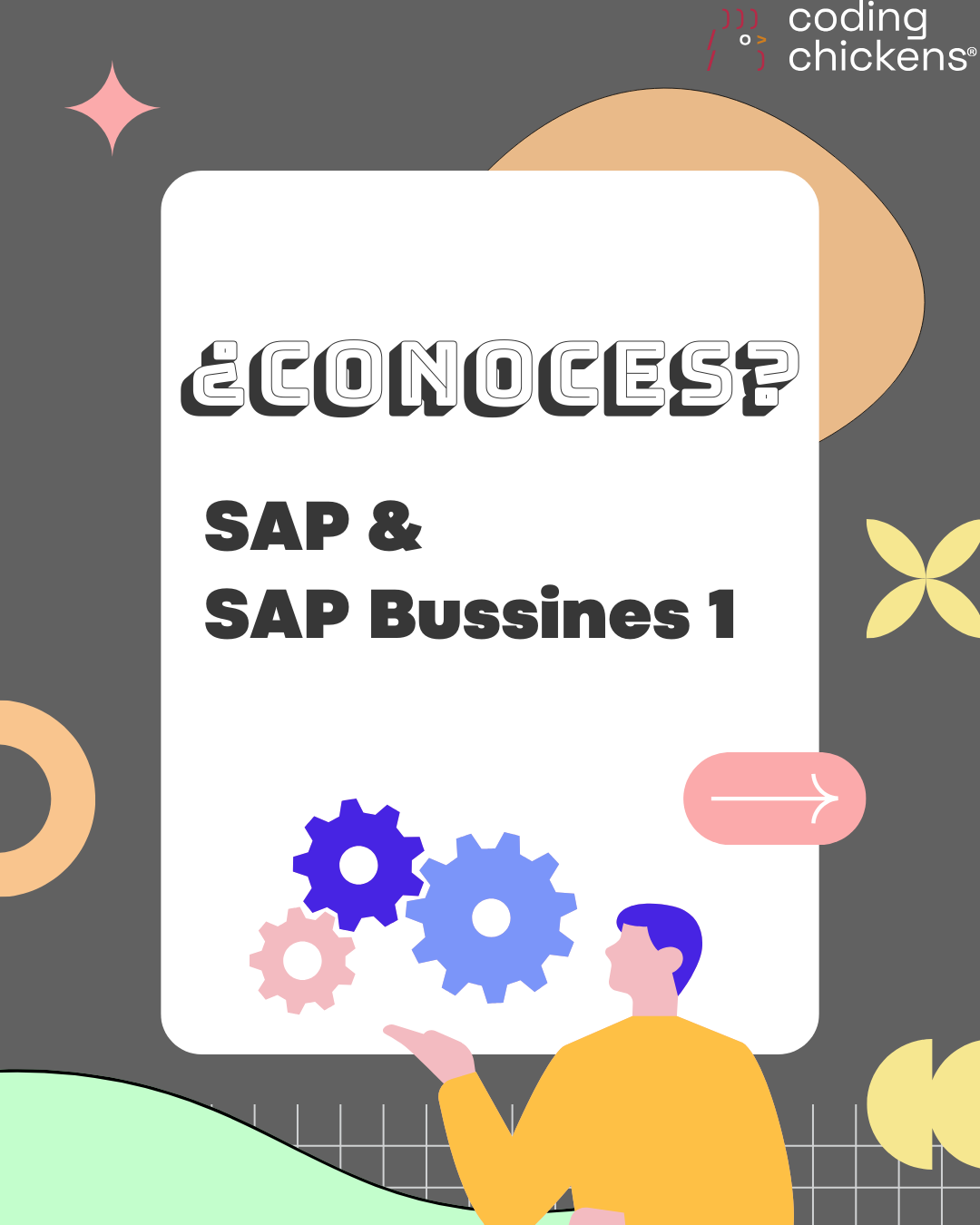 ¡Tu pones la idea, nosotros la empollamos! – Coding Chickens