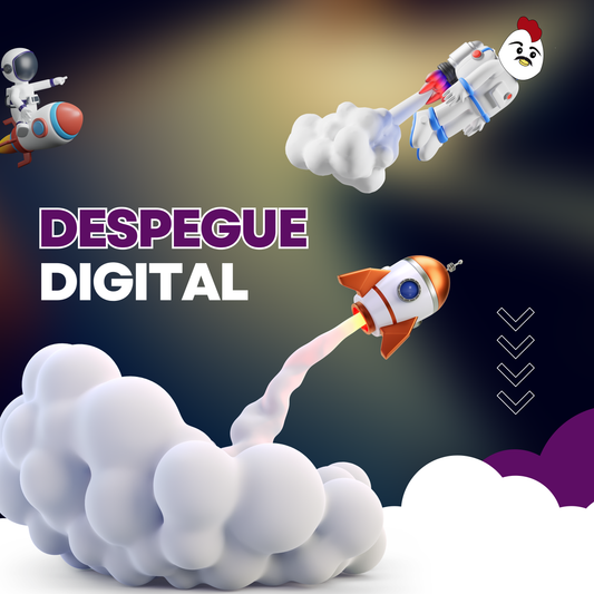 Servicios Coding Chickens