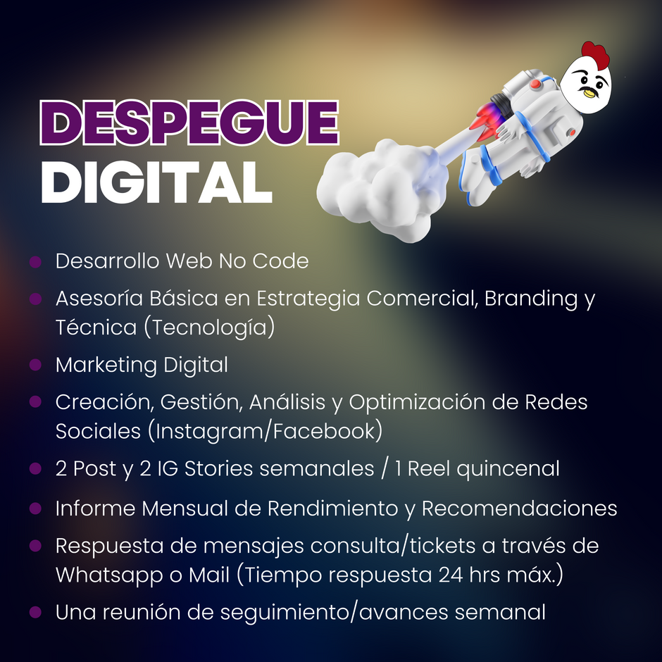 Servicios Coding Chickens