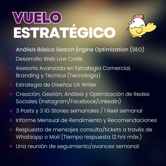 Servicios Coding Chickens