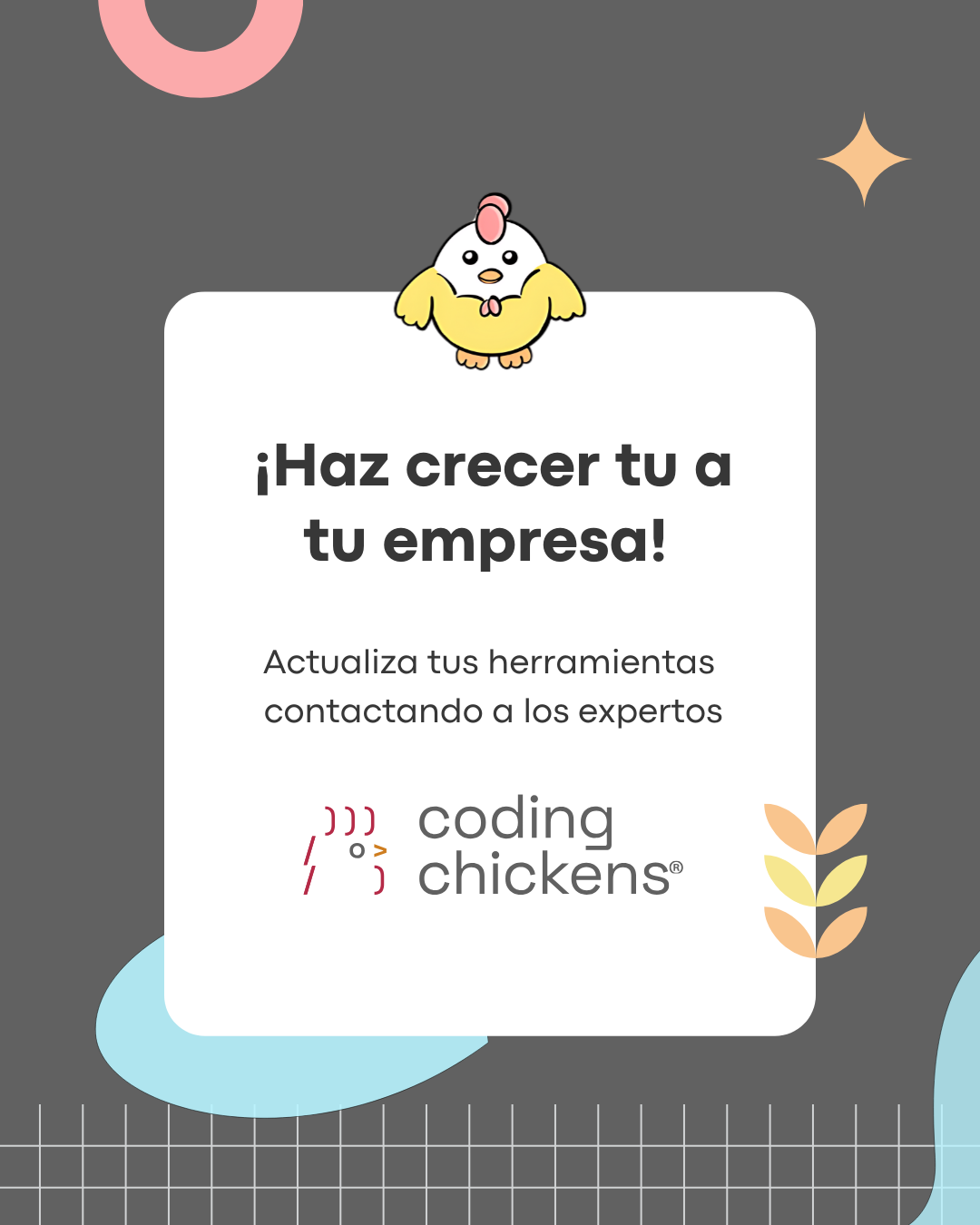 ¡Tu pones la idea, nosotros la empollamos! – Coding Chickens